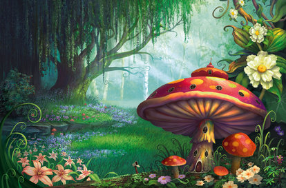 The Enchanted Forest » WHIRINAKI WHARE TAONGA